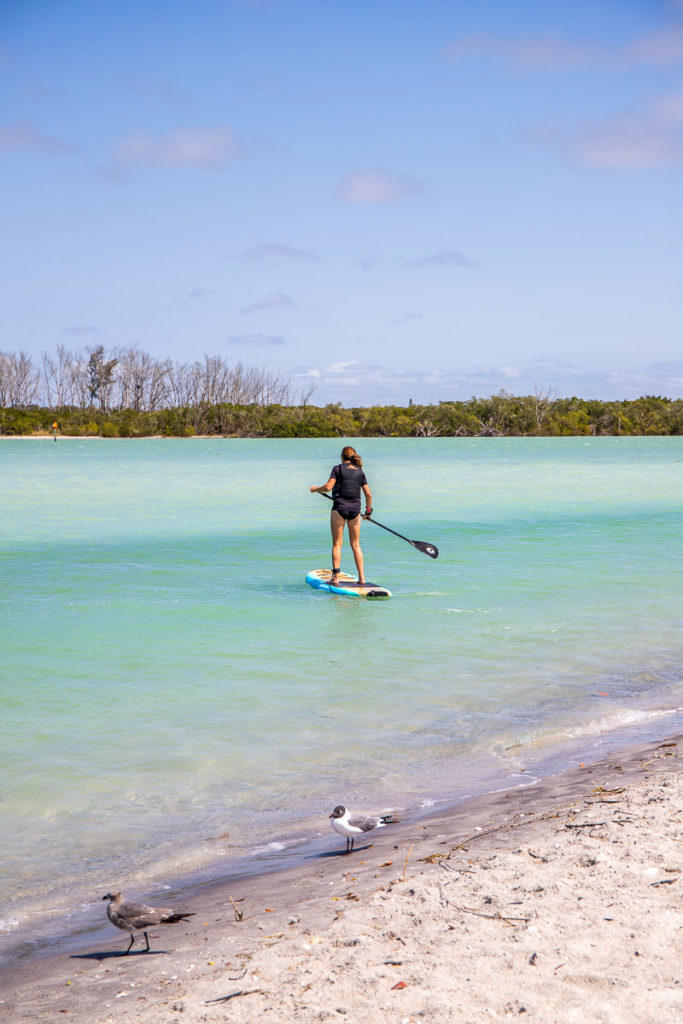 6 unmissable things to do in Manasota Key, Florida