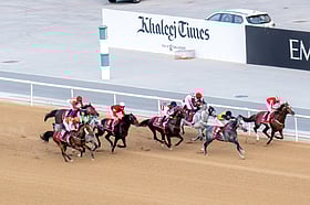 Azizi to sponsor penultimate Carnival Card at Meydan Racecourse