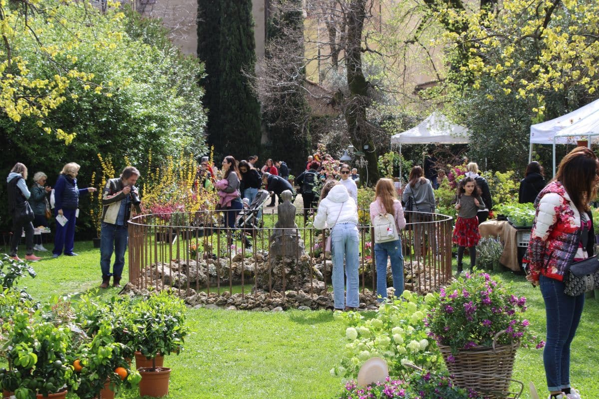 Firenze Flower Show 2025: piante rare e meraviglie verdi al Giardino ...