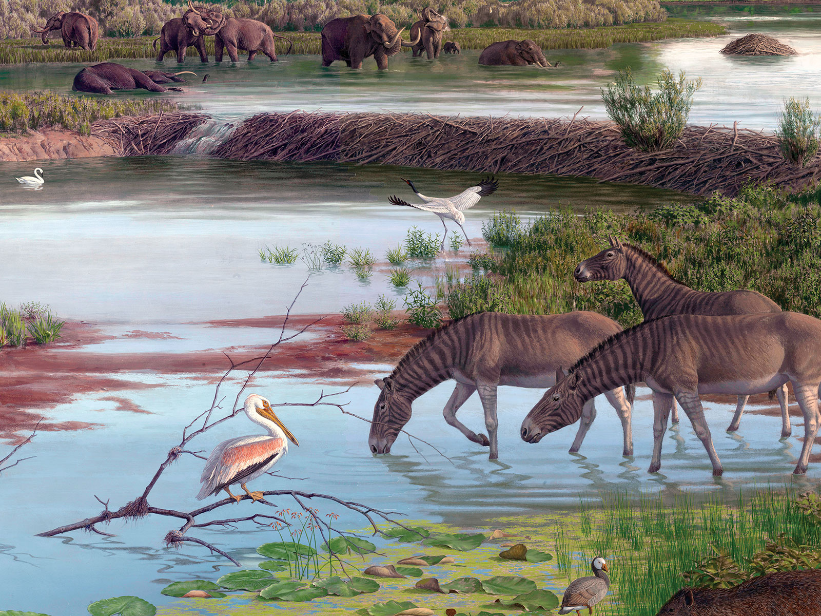 See Stunning Illustrations of Prehistoric Life From One of the Most ...