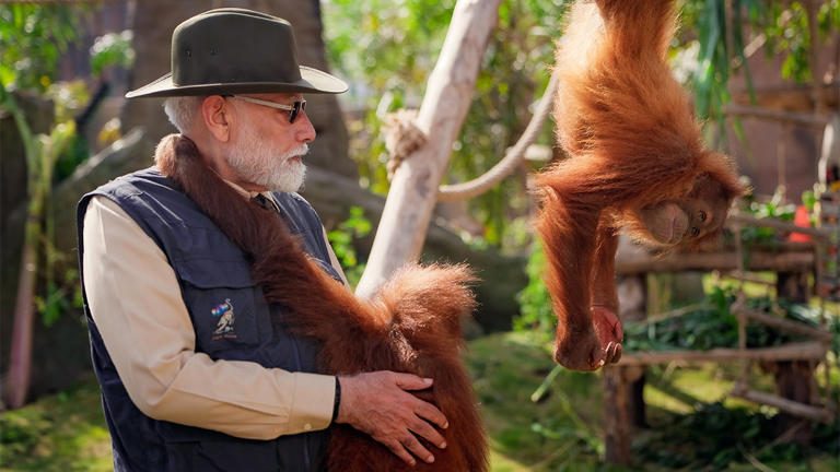 PM Modi Visits Vantara: A Landmark in Wildlife Conservation