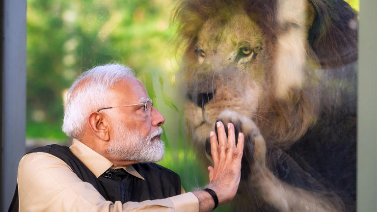 PM Modi Visits Vantara: A Landmark in Wildlife Conservation PM Modi Visits Vantara: A Landmark in Wildlife Conservation