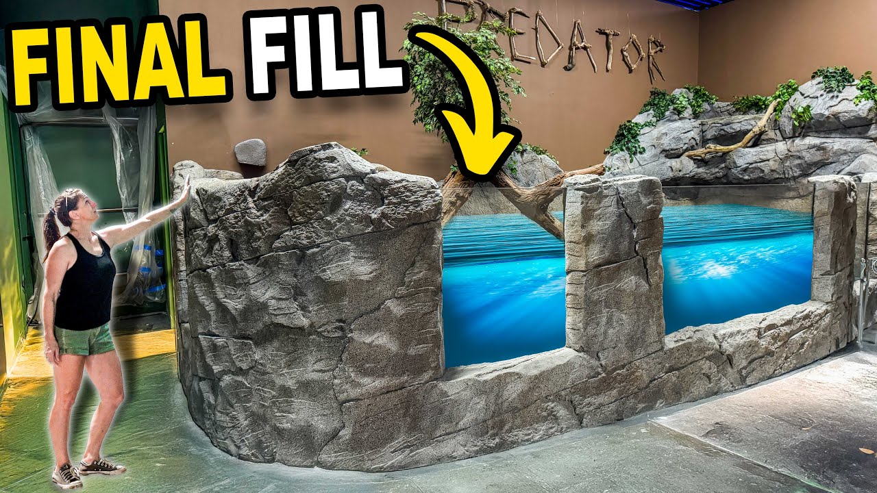 Filling Up My Giant 5,000G Predator Fish Tank!