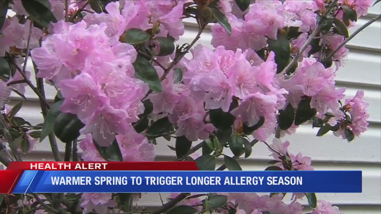 Warmer Spring to trigger longer allergy season