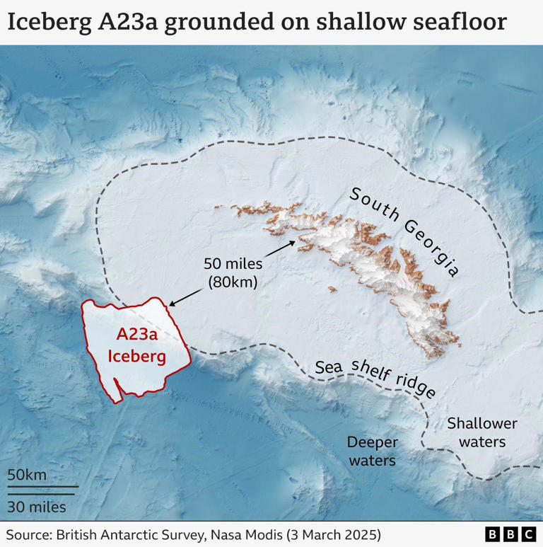 World's largest iceberg runs aground off remote island World's largest iceberg runs aground off remote island