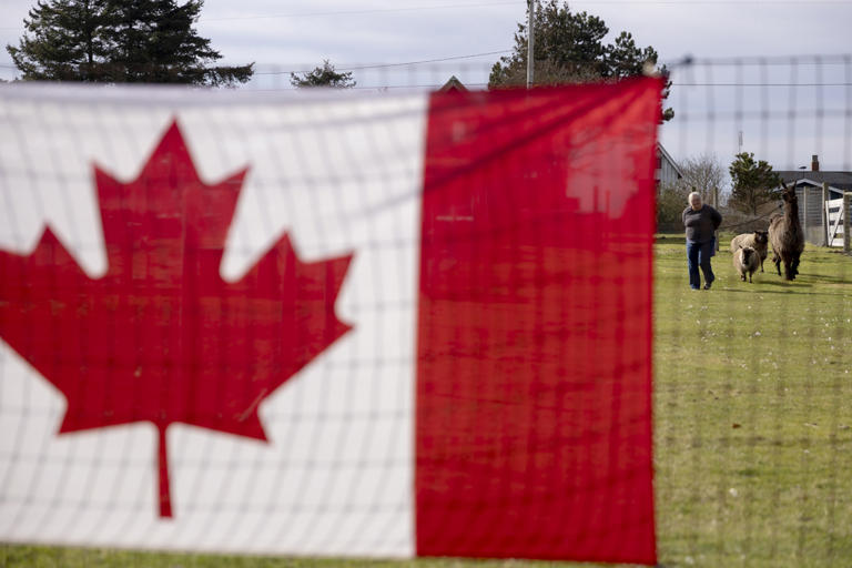 Here's what tariffs are and how they work