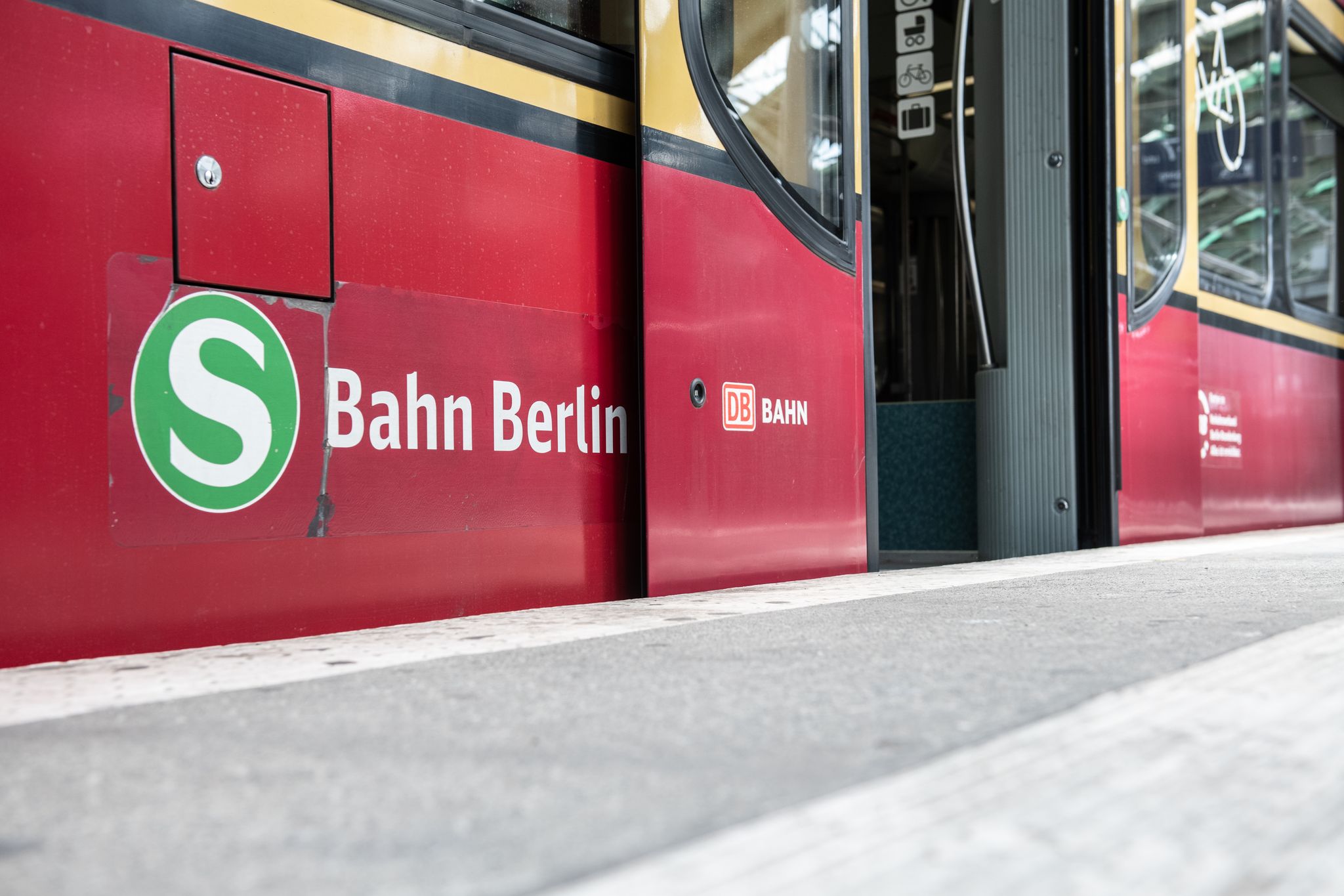 Schwan blockiert Berliner S-Bahn
