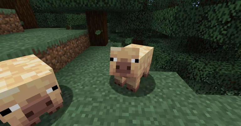 Where to Find Warm and Cold Pig in Minecraft