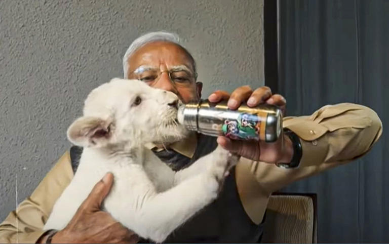 PM Modi hails 'Vantara', asks people to focus on kindness towards animals PM Modi hails 'Vantara', asks people to focus on kindness towards animals