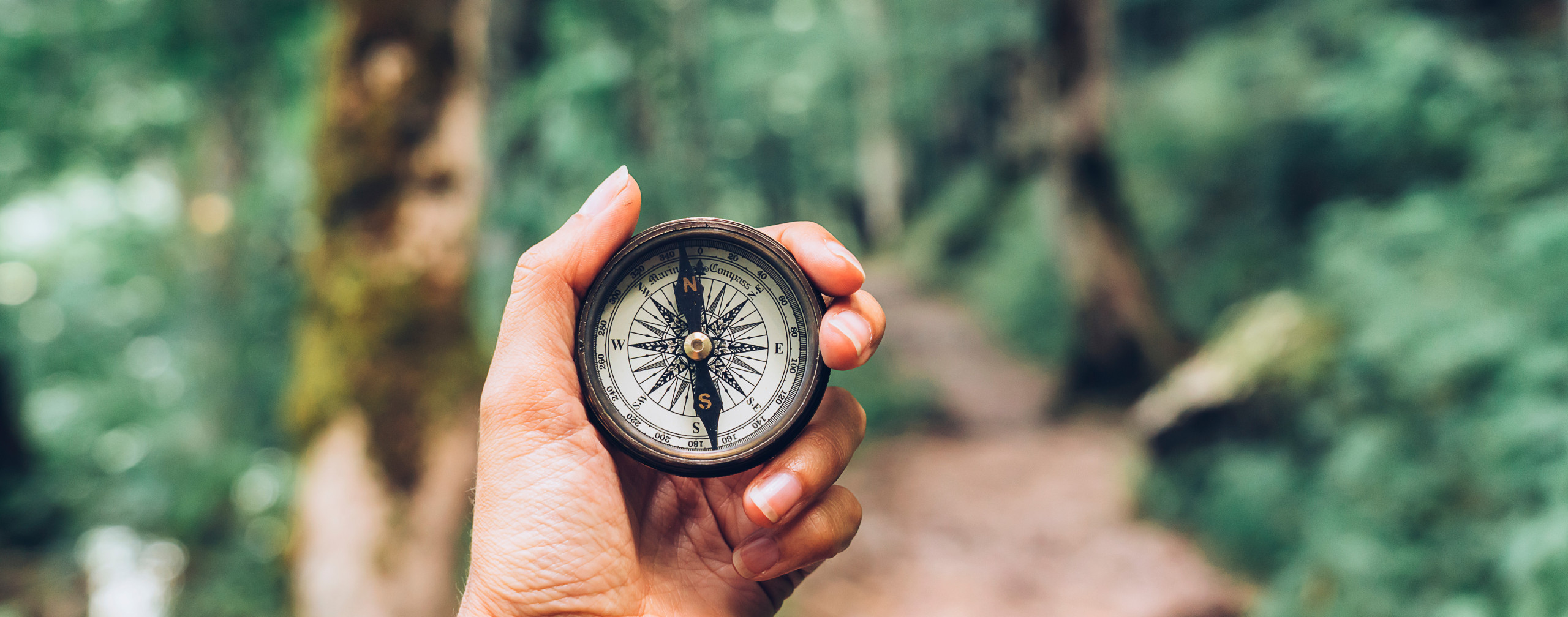 Cómo la inversión de los polos magnéticos podría influir en nuestro planeta