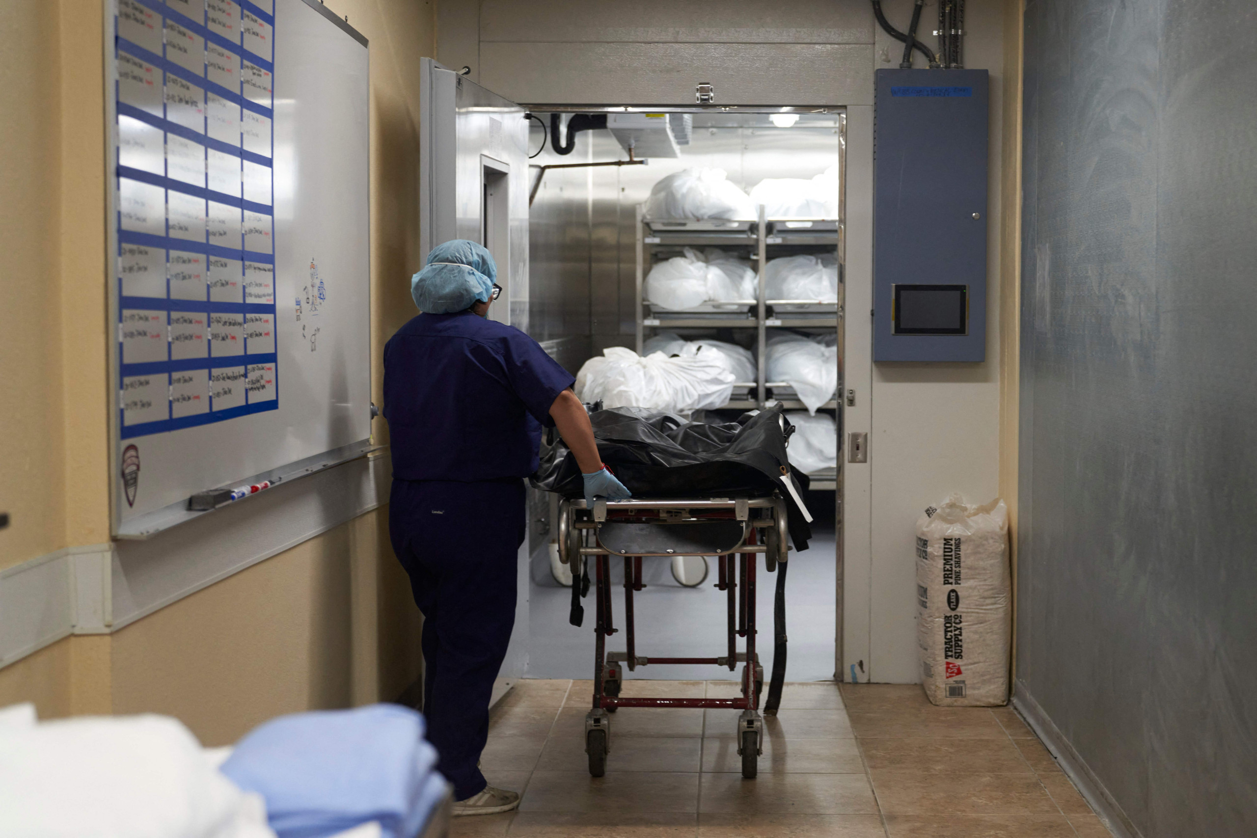 What happens during an autopsy