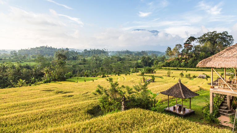 Escape The Tourist Crowds At Bali's Best-Kept Secret Town With ...