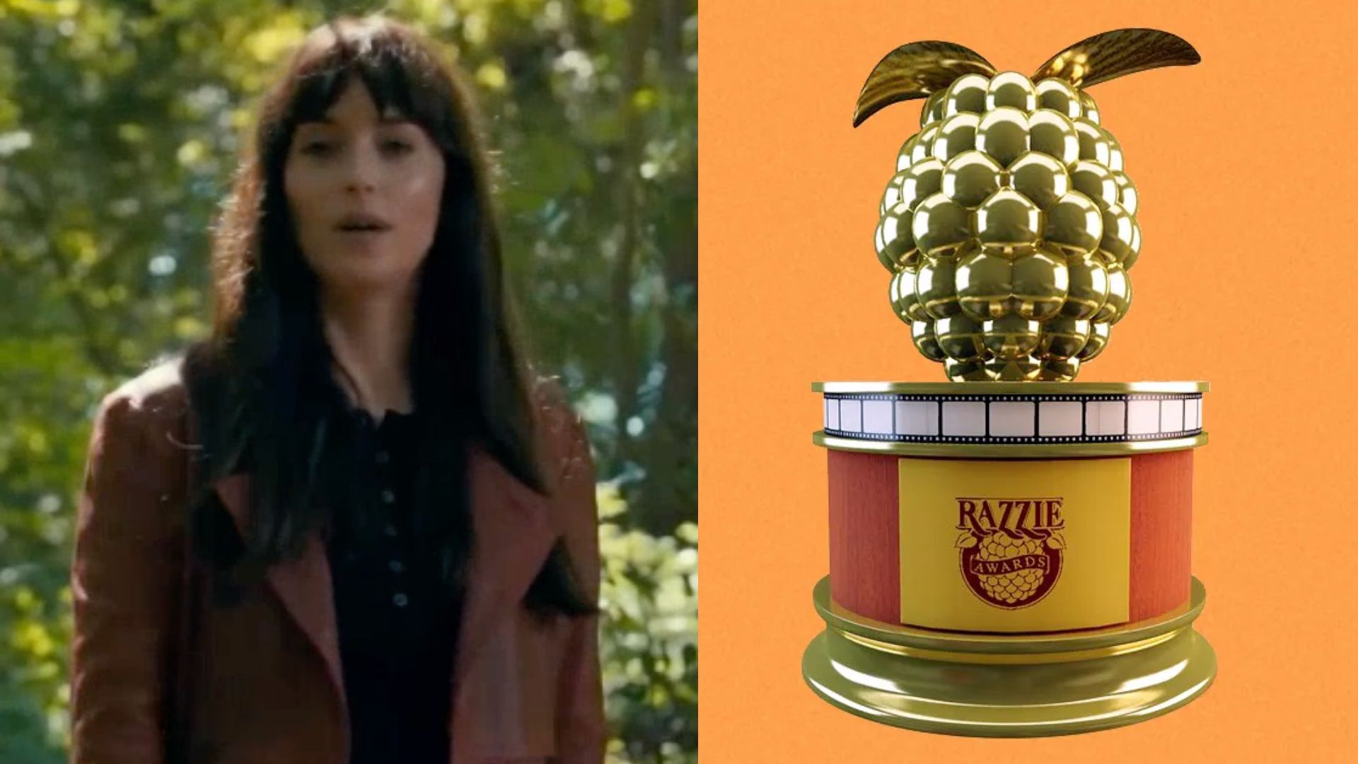 Recap of the 45th Razzies awards winners