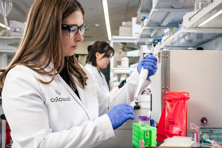 A startup plans to make money from reviving the woolly mammoth. Here's how.