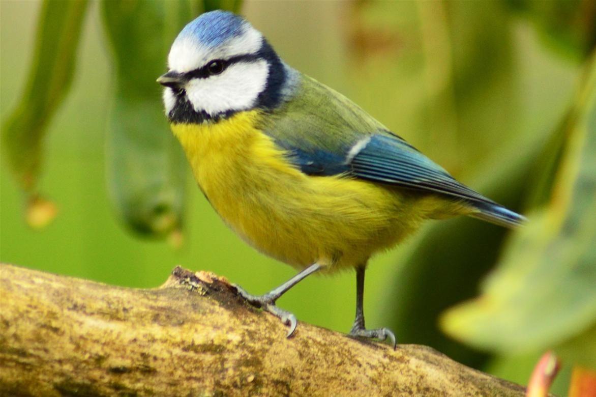 New research shows only 12% of local authorities have an action plan ...