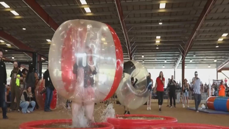 From mullets to buckin’ gators: Florida Man Games highlight Sunshine ...