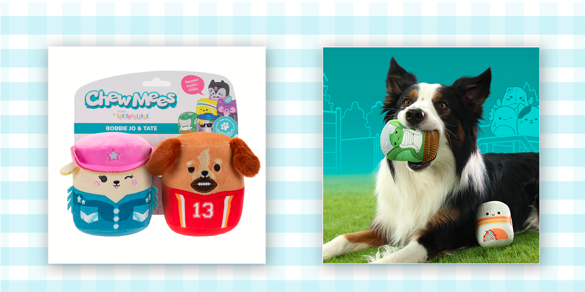 These Taylor Swift and Travis Kelce-Inspired Dog Toys Are Too Cute