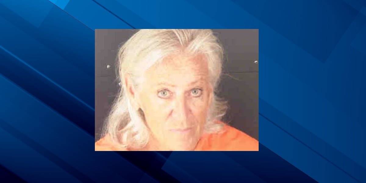 Woman accused of hitting, killing two children out on bond