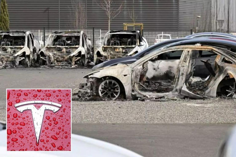 Tesla showroom targeted in £580,000 arson attack as anarchist group ...