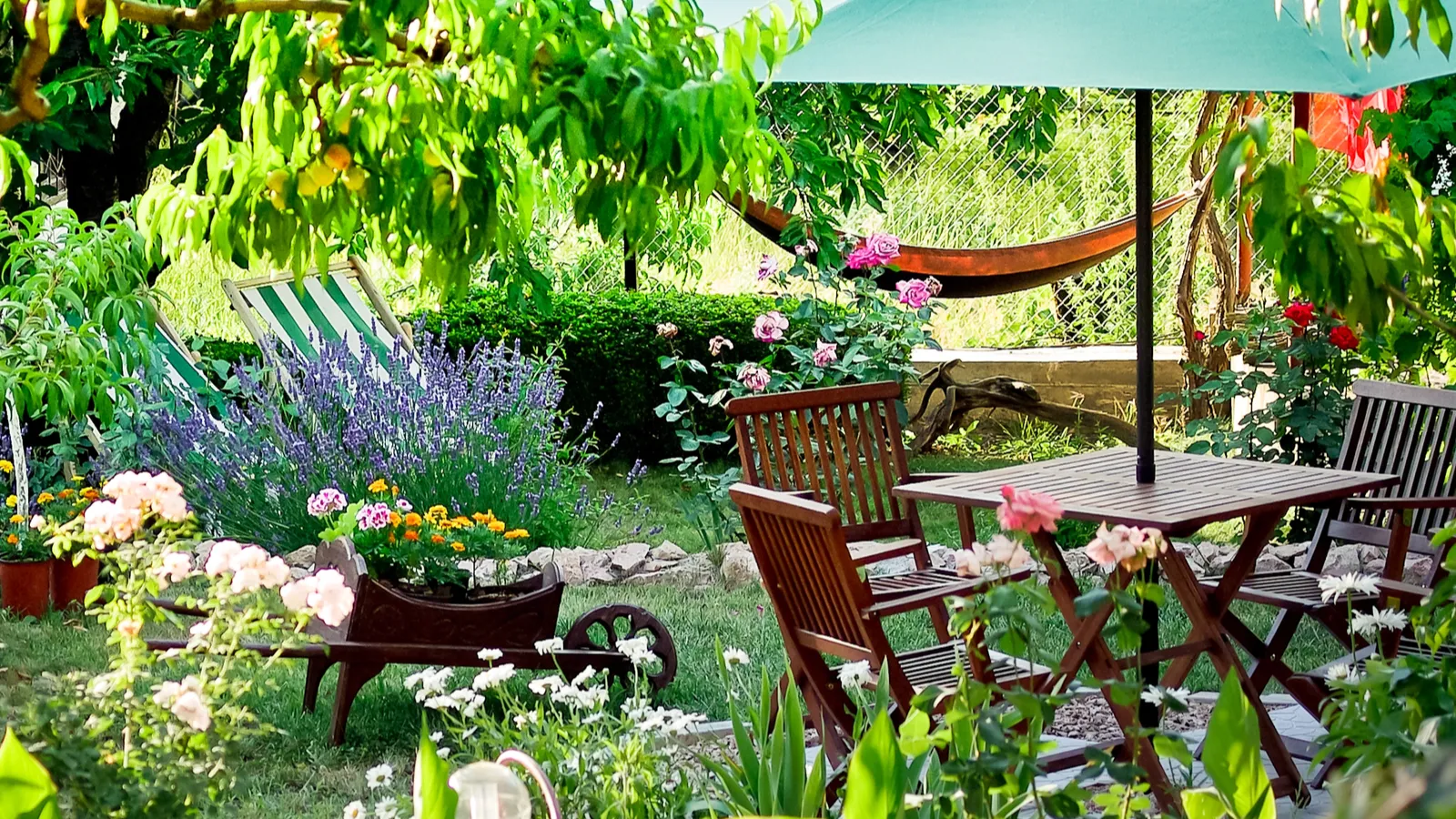 How Wild Landscaping Is Taking Over Suburbia