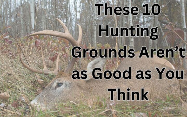 10 Overhyped Hunting Spots That Real Hunters Avoid