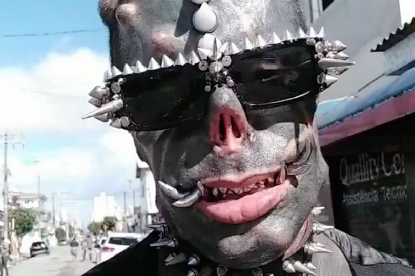 Body modification addict dubbed 'Human Satan' has fingers amputated to ...