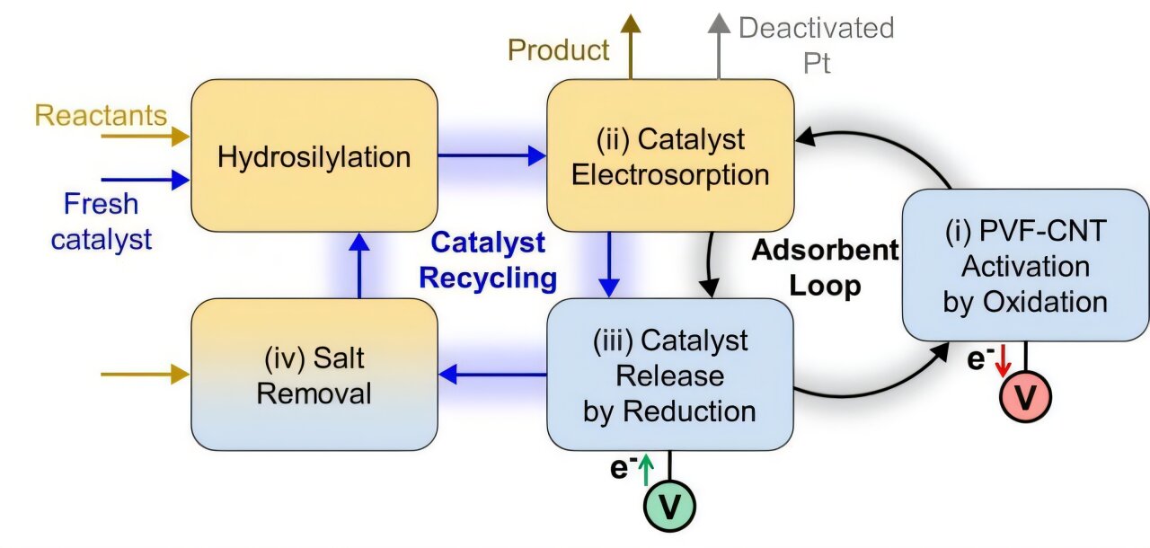 Study details method for recycling platinum catalysts from industrial waste