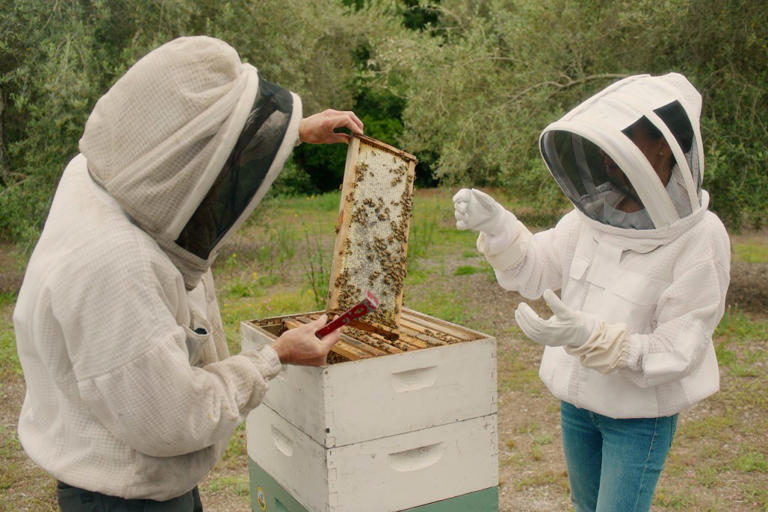 Stream It Or Skip It: ‘With Love, Meghan’ on Netflix, Meghan Markle’s ...