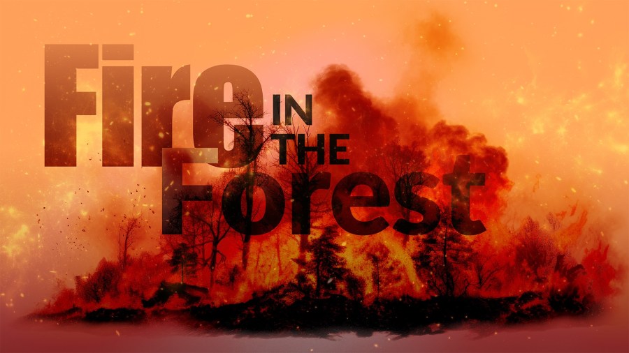 Fire in the Forest: Crews continue working to contain 2,059-acre fire