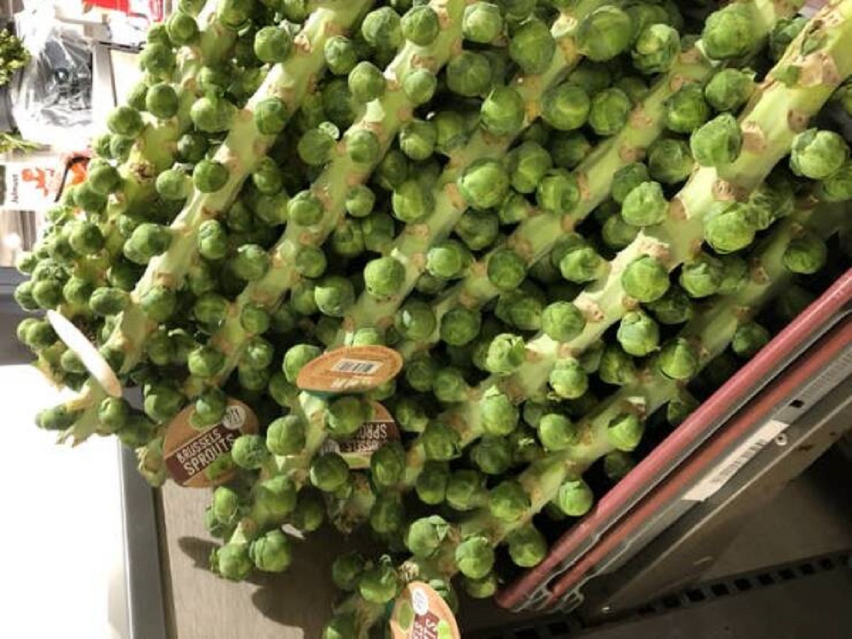 40 Interesting Photos Worth a Closer Look