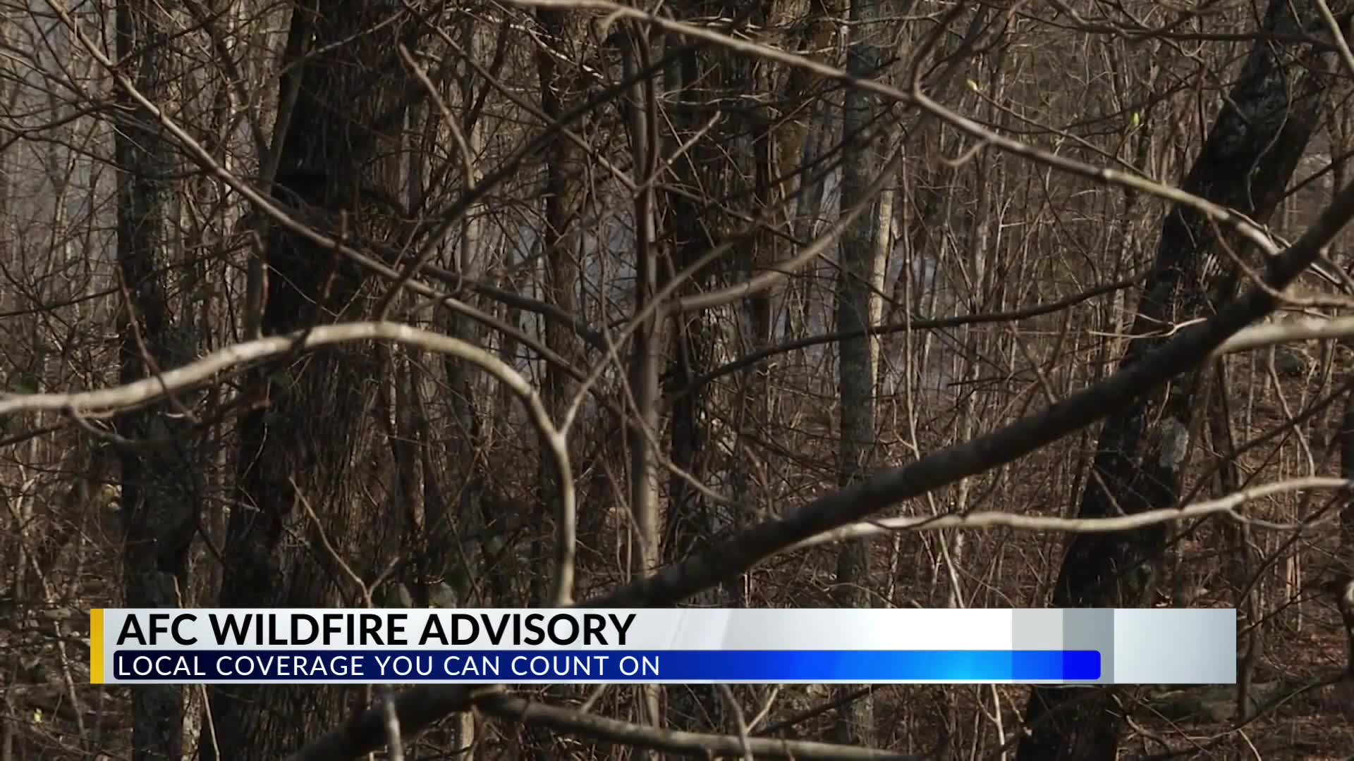 Wildfire update in Alabama