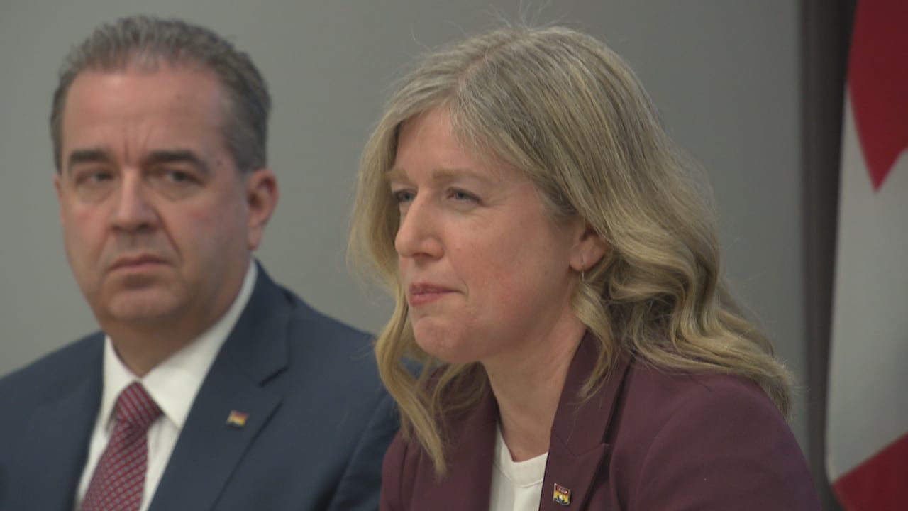 New Brunswick Premier Susan Holt reveals tariffs action plan