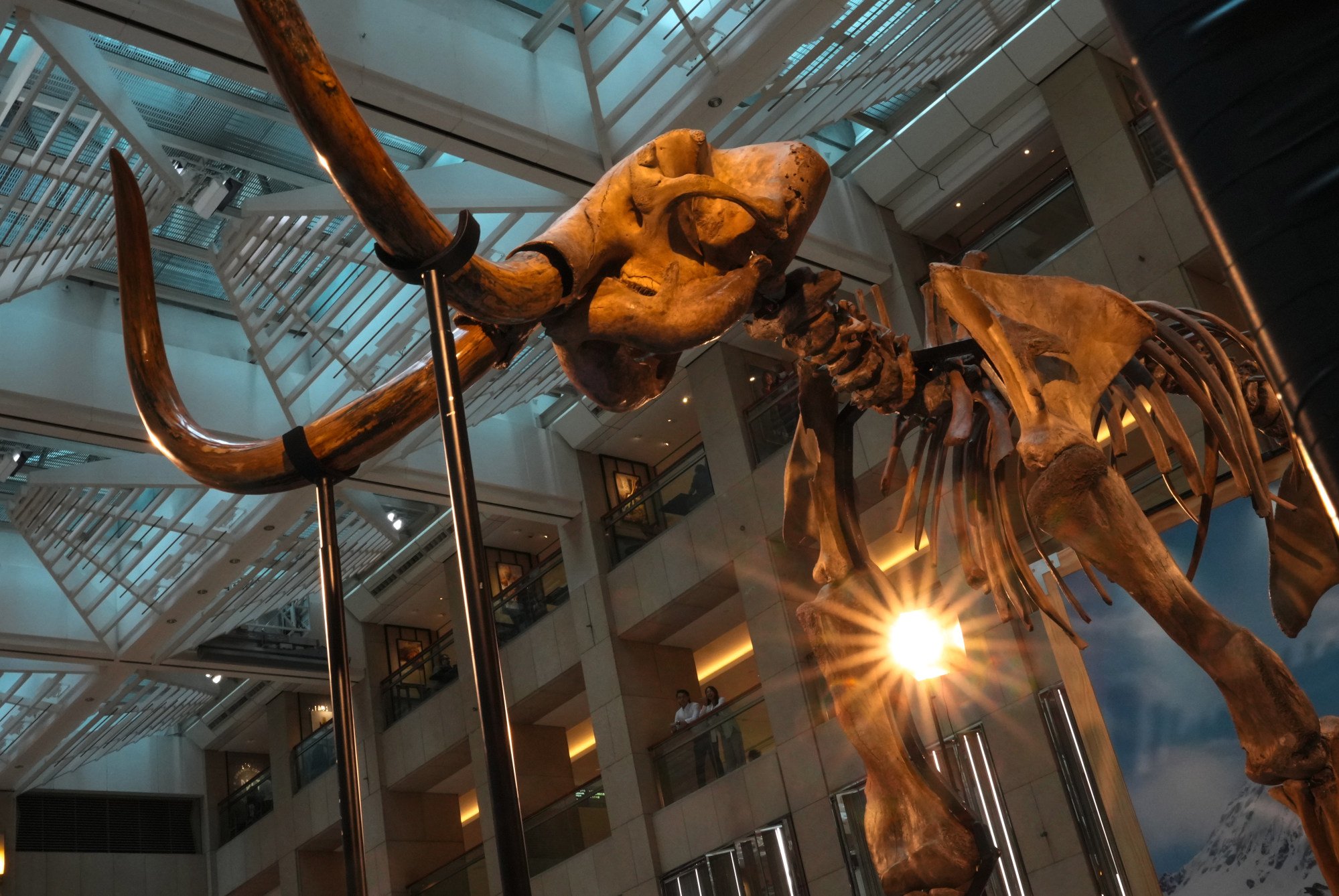 Scientists take first step to bringing back mammoth by creating ‘woolly ...