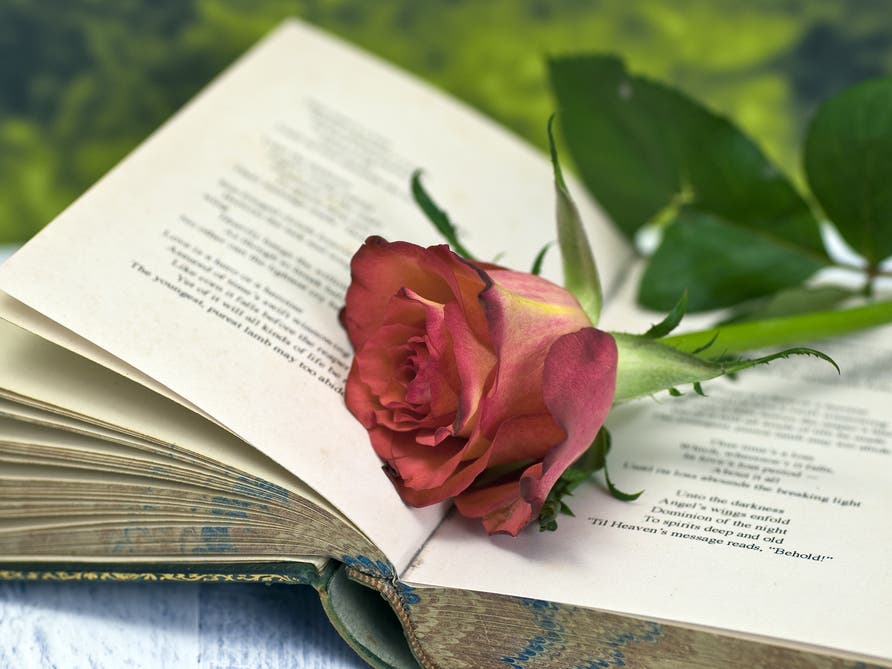 Bucks Co. High School Scribes Invited To Enter 38th Poetry Contest