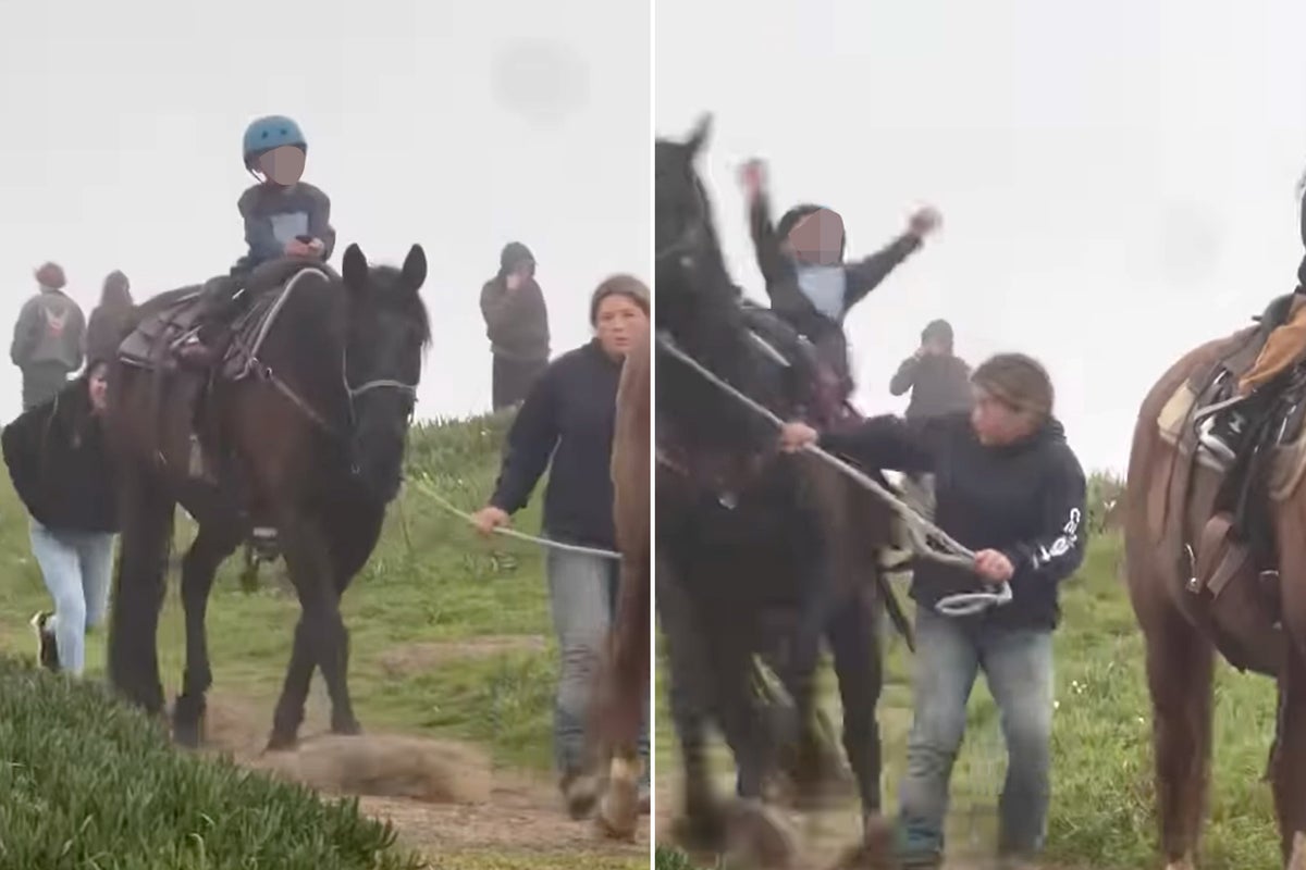 Woman arrested in ‘horse tail pulling’ incident that caused animal to ...
