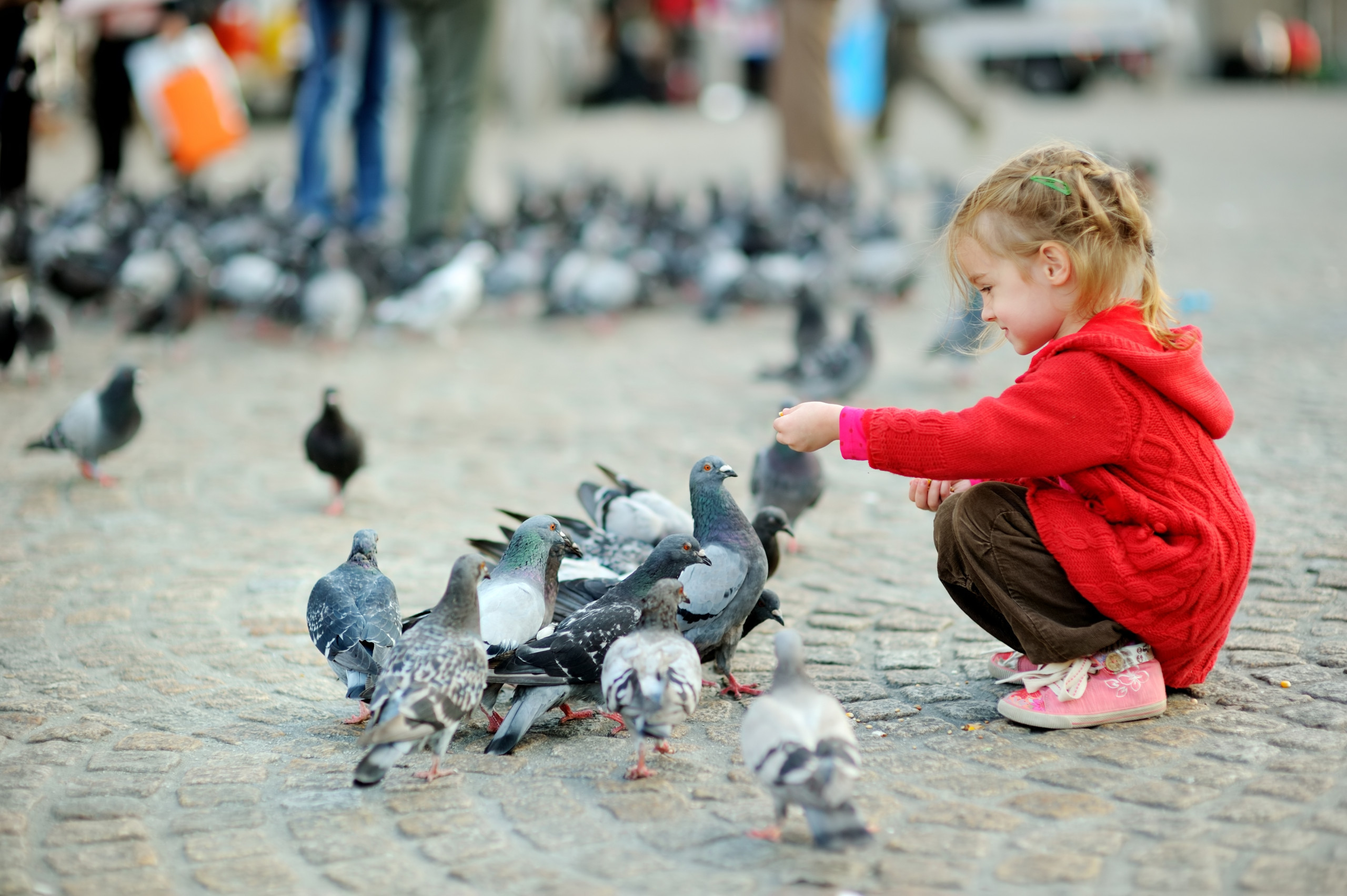 Strange laws from around the world