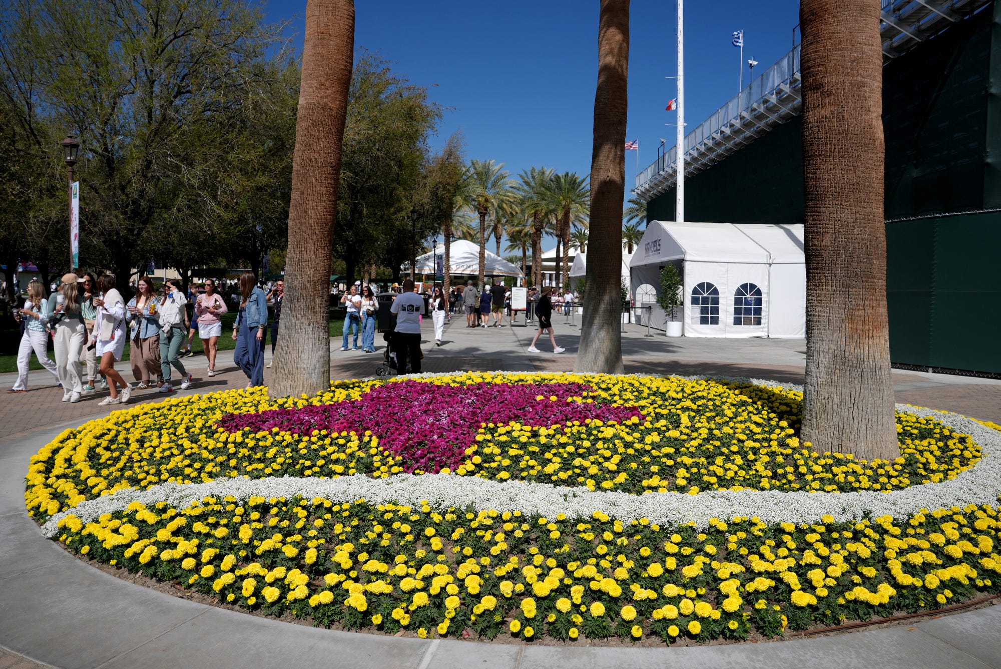 Pro tennis doesn't seed its field the same way as the NCAA basketball ...