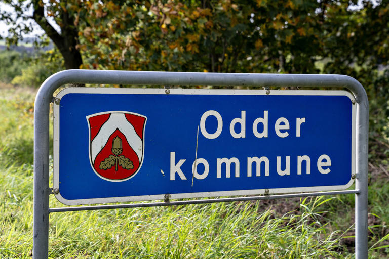 Politi rejser sigtelser i sag om fældede træer for millioner