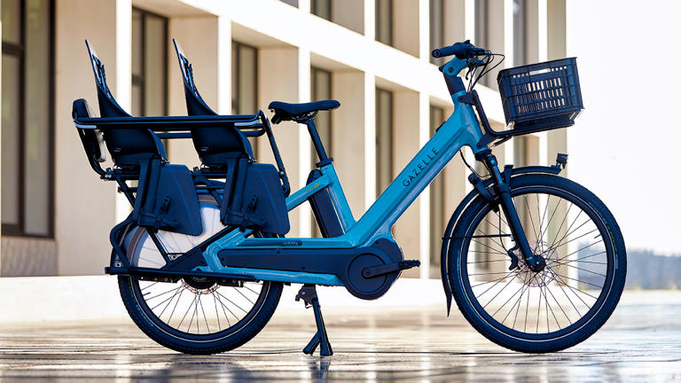 Deze e-bike en elektrische cargo-fiets zijn gekozen tot 'Fiets van het ...