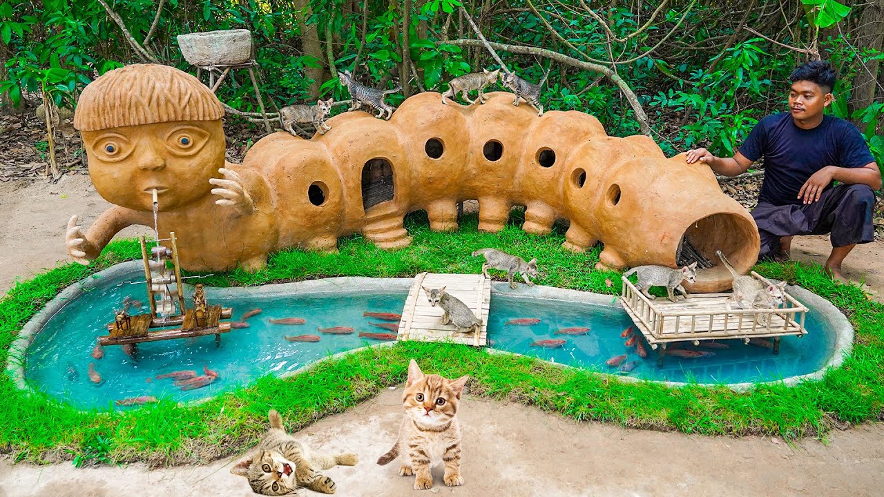Rescue Kitten cats Build Caterpillar As Cat House