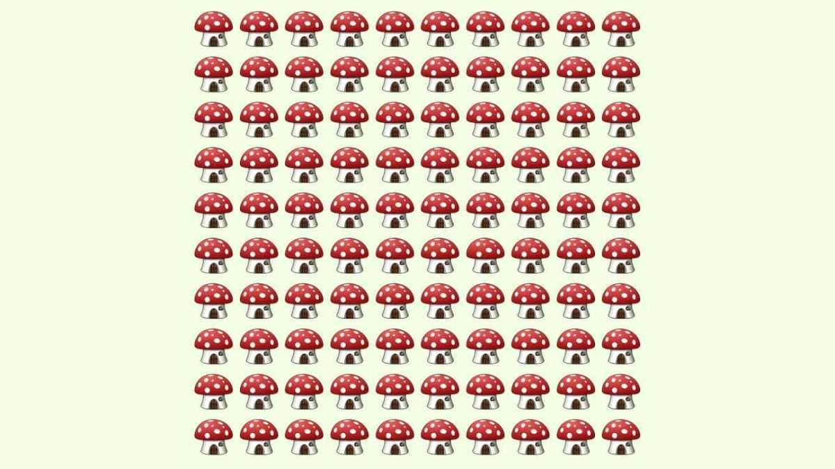 You have a razor-sharp brain if you can find the different mushroom in ...