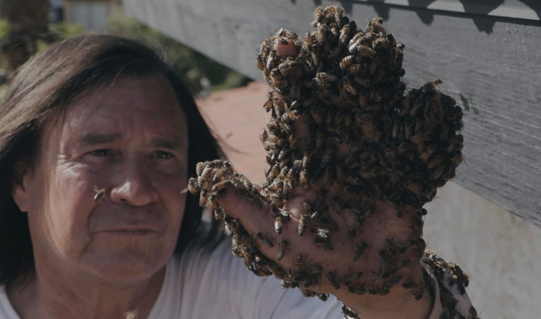 Meet Lance Davis, the fearless beekeeper who saved the day at the 2024 ...