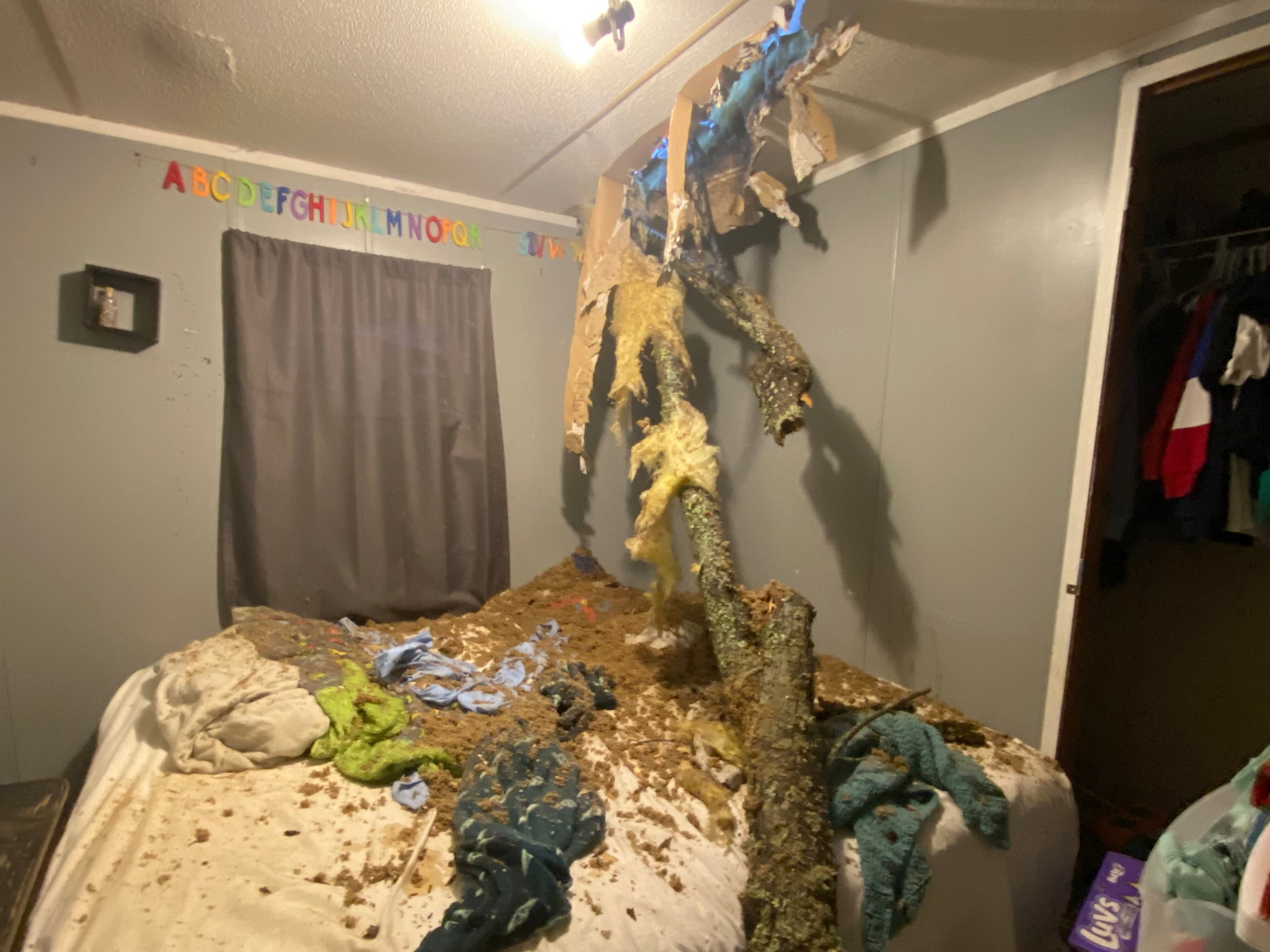 Tree limb rips through ceiling of boys’ bedroom in Flint