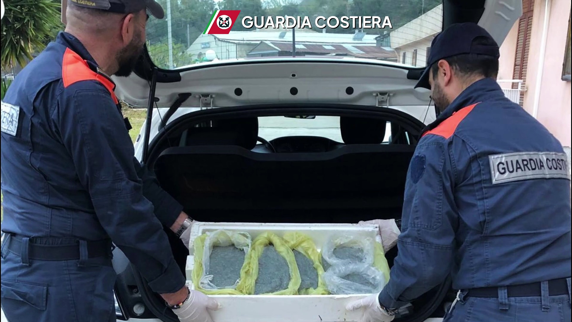«Neonata» e pesce spada venduti senza autorizzazione