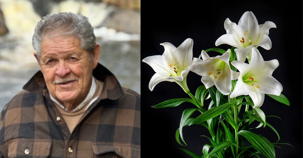 James Herman, U.S. Marine veteran and devoted father, dies at 87