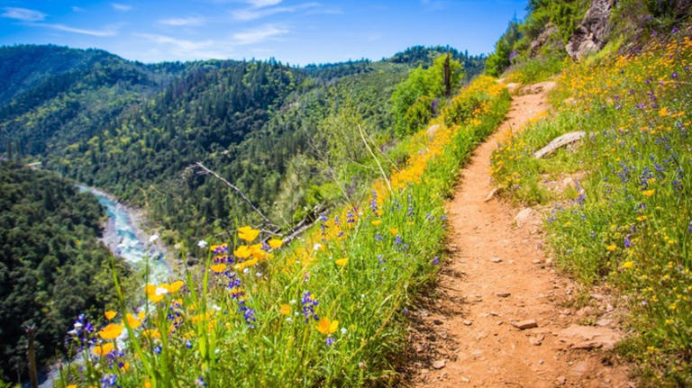 One Of California's Most Scenic, Historic River Trails Offers Epic ...
