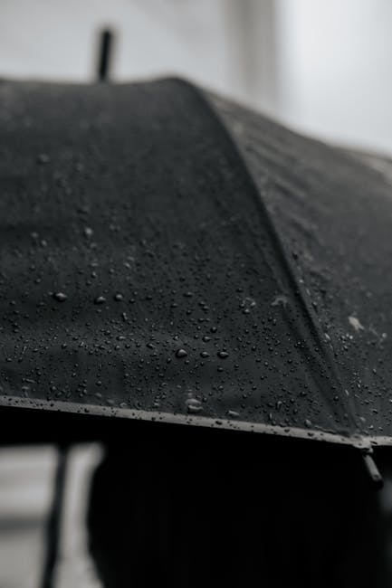 How Climate Change is Altering Rainfall Patterns Across the United States