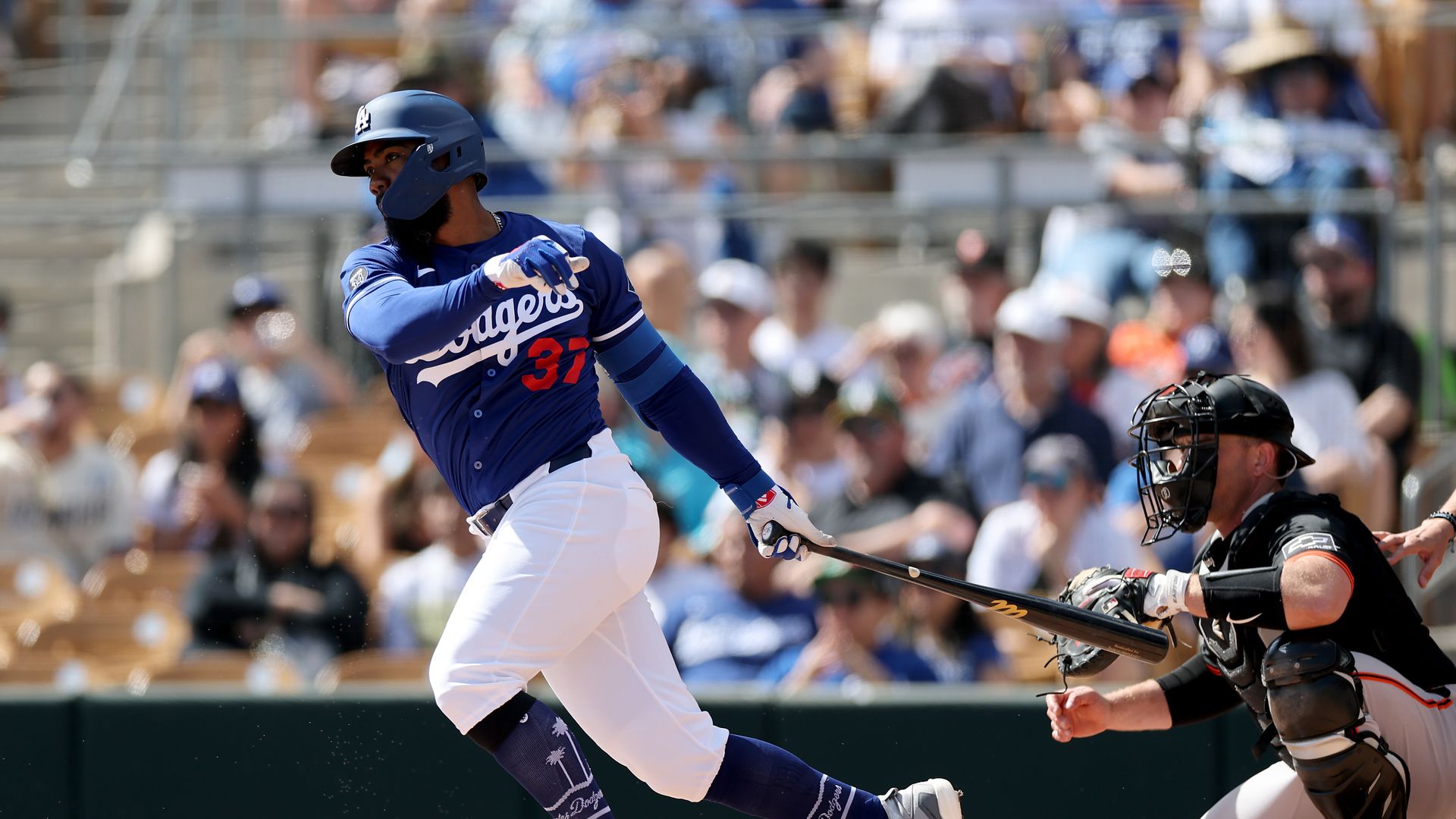 On daytime spring training games