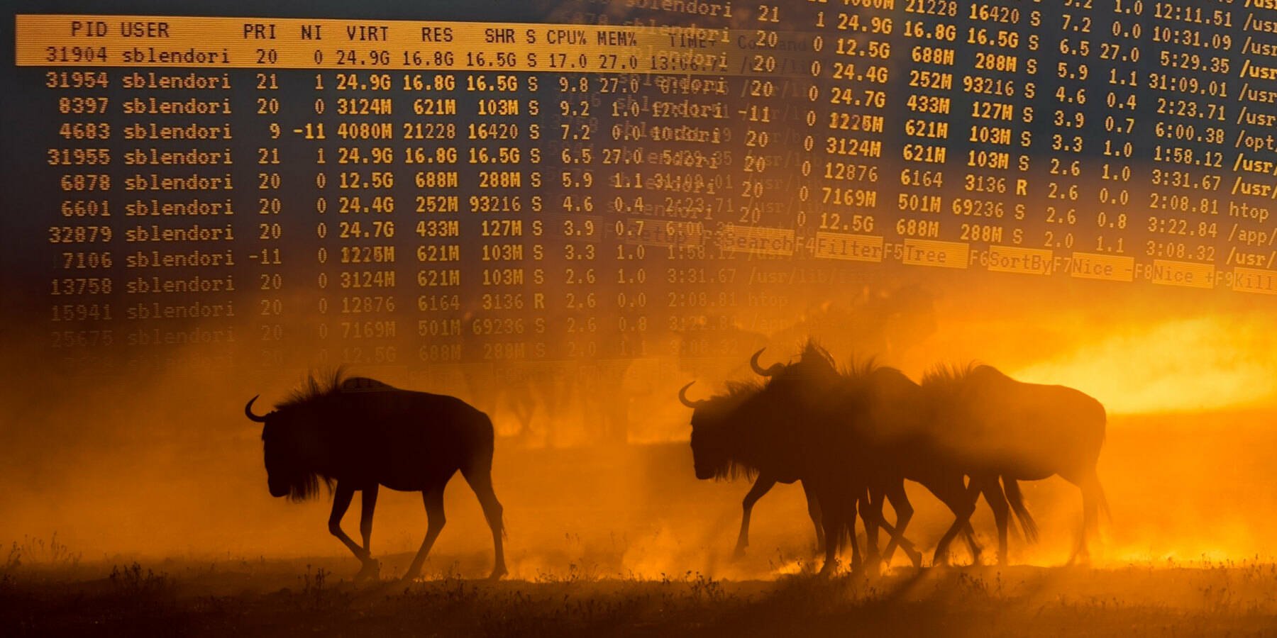 Free Software Foundation rides to defend AGPLv3 against Neo4j license ...