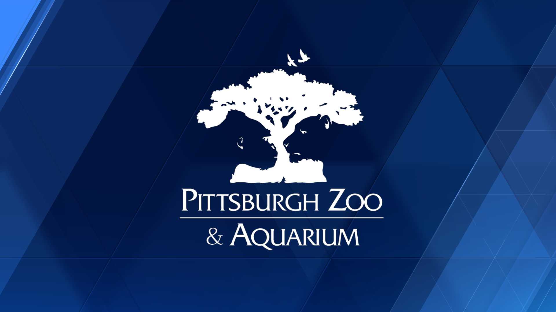 Pittsburgh Zoo's aquarium building closed Wednesday after fire